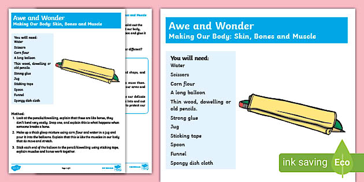 Making Our Body - Awe and Wonder Science - Body Activity