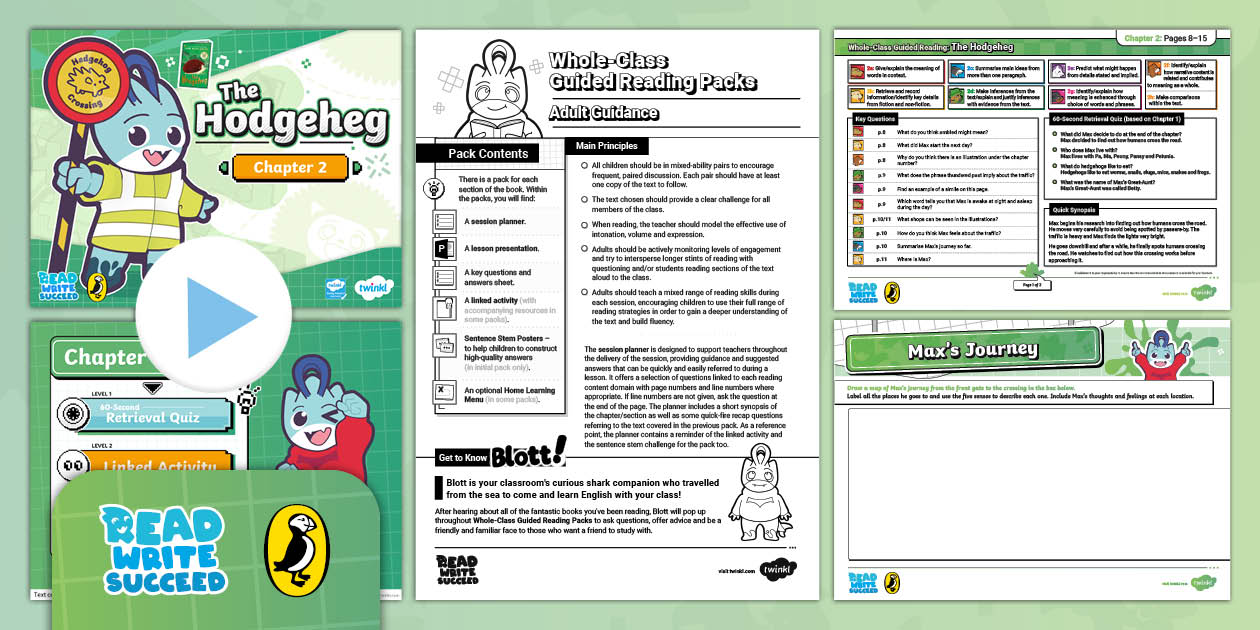 FREE! - The Hodgeheg Whole-Class Guided Reading Pack: Chapter 2 [LKS2]