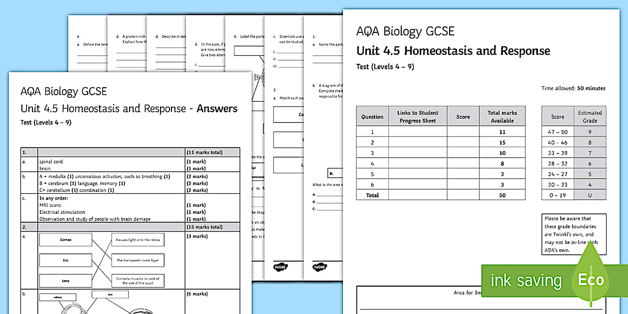 AQA Biology (Separate) Unit 5 Homeostasis and Response Test