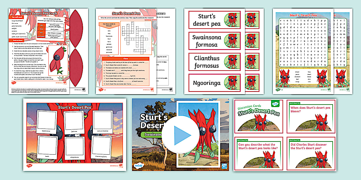 Sturt's Desert Pea Pack