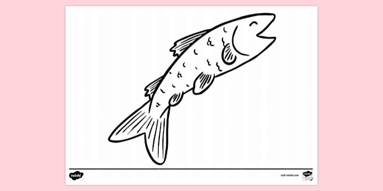 Red Salmon Colouring Sheet | Teaching Resources | Twinkl