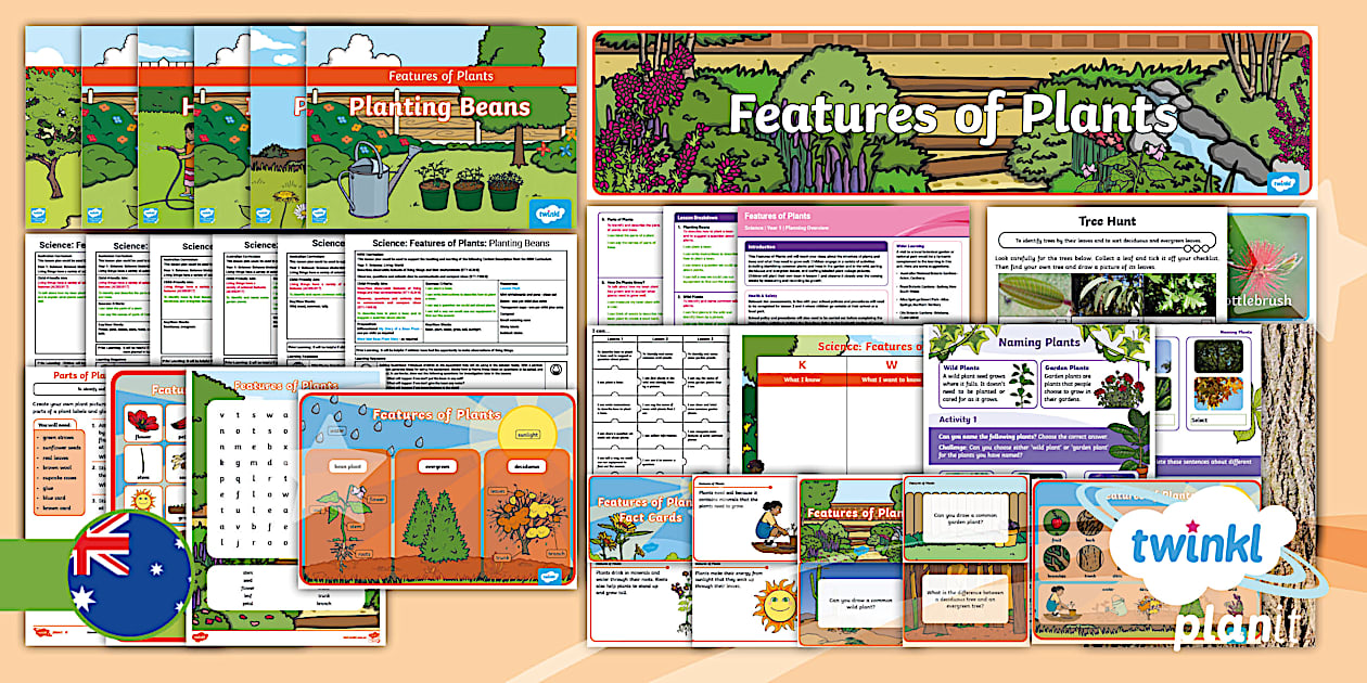 Year 1 Science Features of Plants Unit Pack (teacher made)