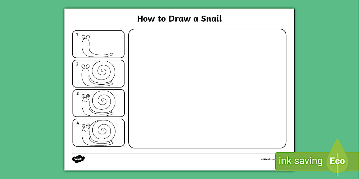 How to Draw a Snail Activity (teacher made) - Twinkl