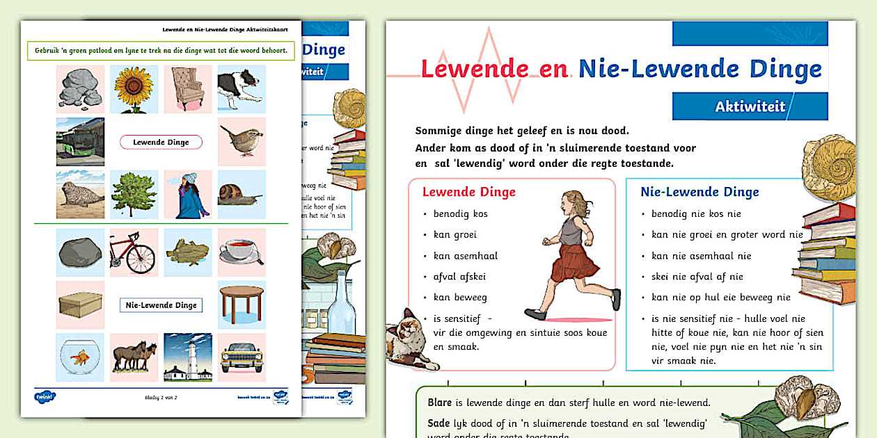 Lewende en Nie-Lewende Dinge Aktiwiteitskaart - Twinkl