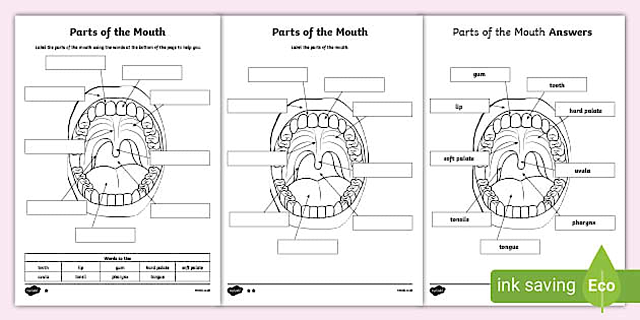 Parts of the Mouth Labelling Activity KS2 (teacher made)