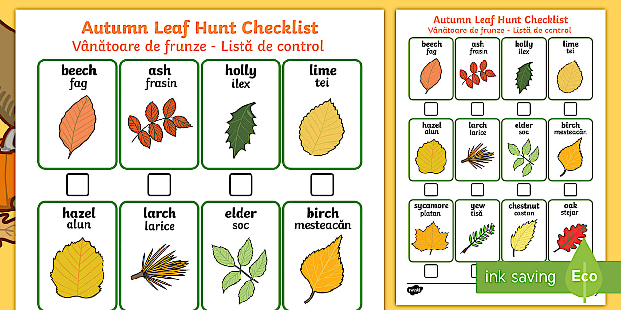 Autumn Leaf Hunt Checklist Romanian/English (teacher made)
