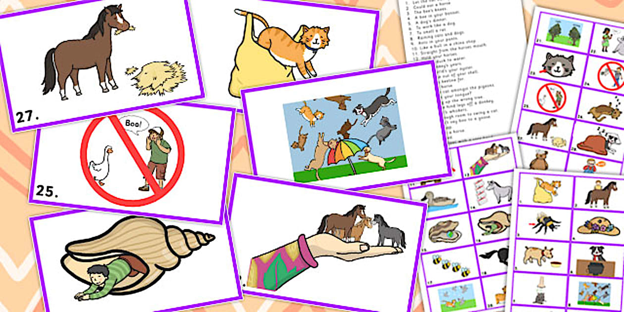Idiom Animal Picture Cards - Printable - Primary Resource