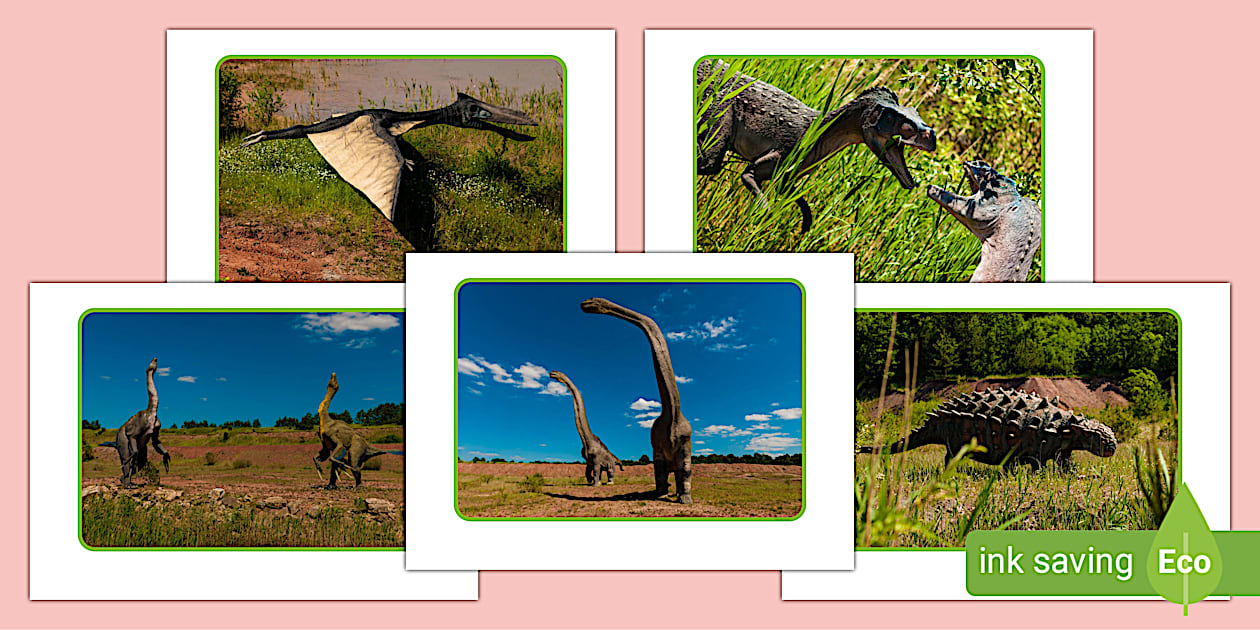 Dinosaur Pictures | Dinosaur Display Posters (teacher made)