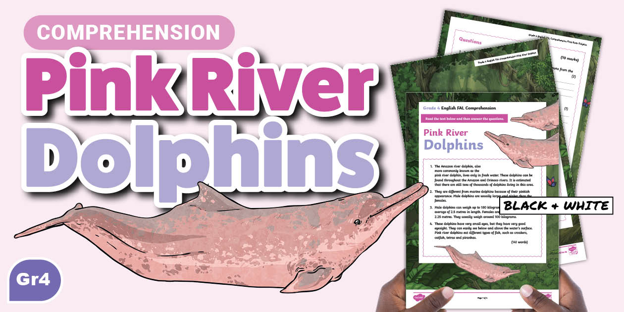G 4 English FAL Comprehension: Pink River Dolphins Activity