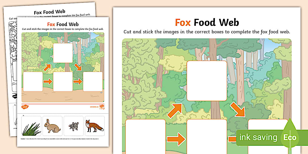 Fox Food Web Cut and Stick (teacher made) - Twinkl