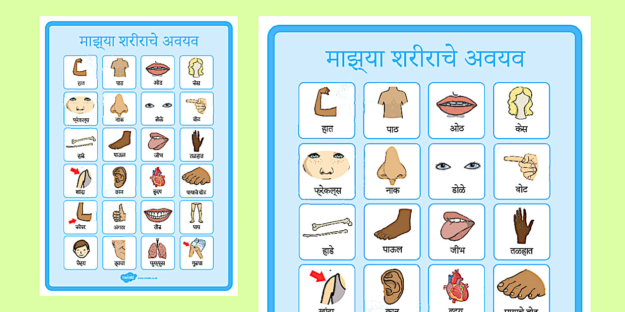 My Body Parts Vocabulary Chart (Marathi) I माझ्या शरीराचे अवयव