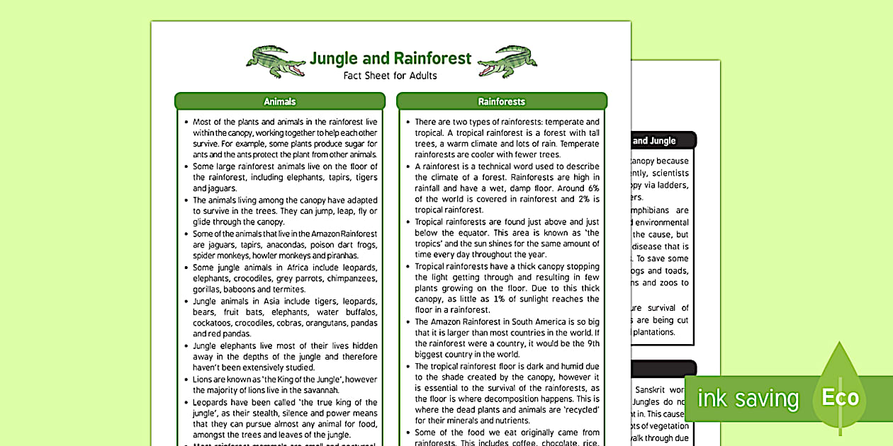 Jungle and Rainforest Fact Sheet for Adults (teacher made)