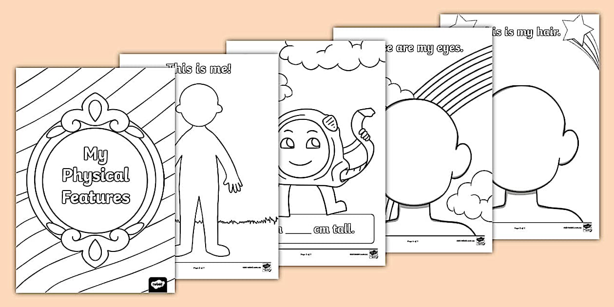 My Physical Features Booklet (teacher made) - Twinkl