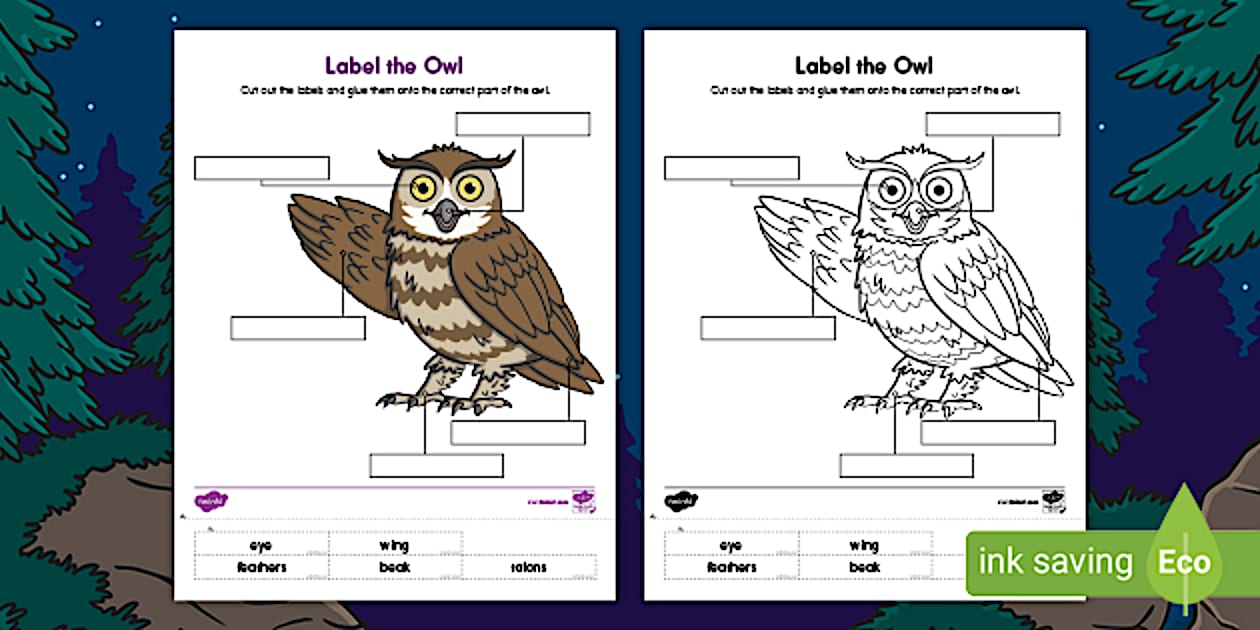 Early Childhood Label the Owl Cut and Paste Worksheet