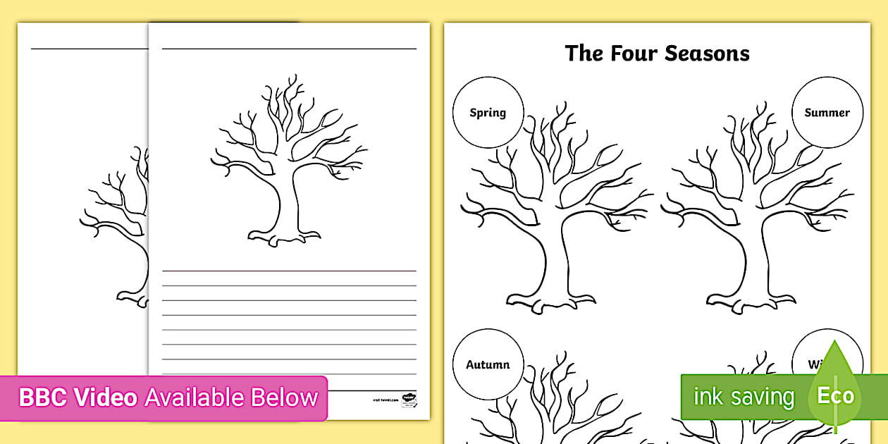 Four Seasons Tree Template - BBC Teach Video - Twinkl Partnership
