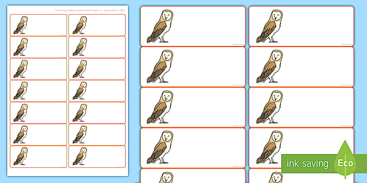 Editable Owl-Themed Peg Labels (l'enseignant a fait)