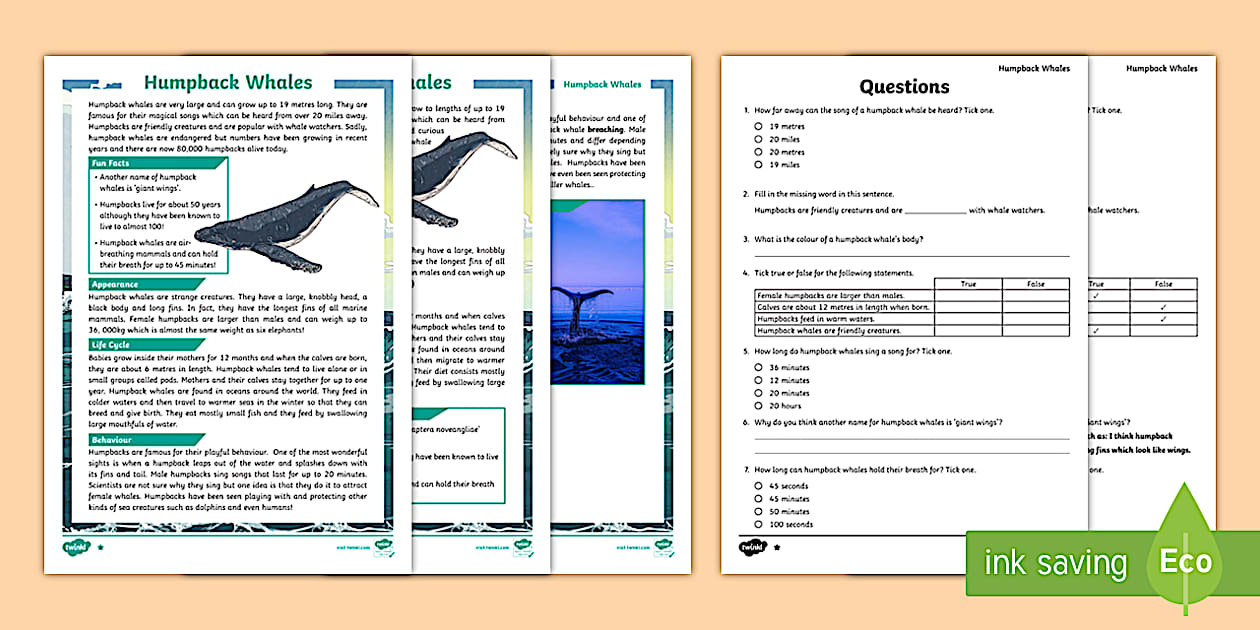 Whale Reading Comprehension Worksheets | Downloadable