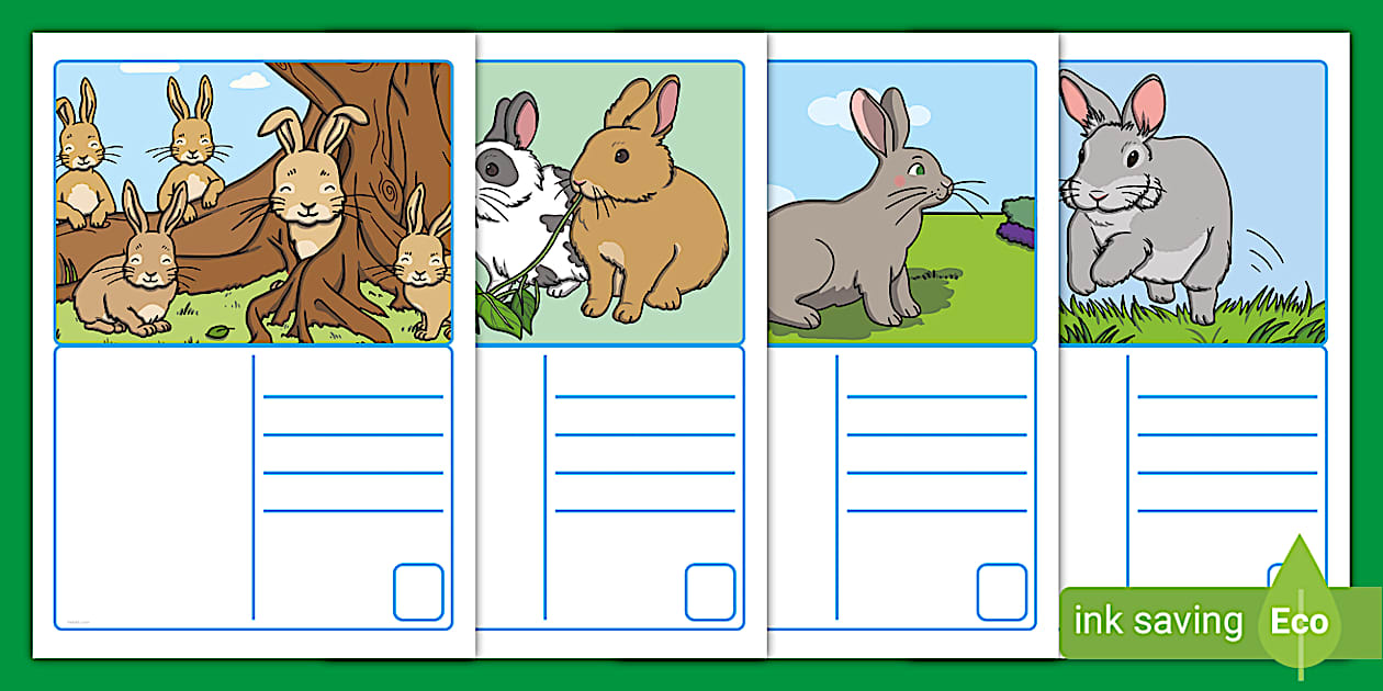 Rabbit Postcards (teacher made) - Twinkl