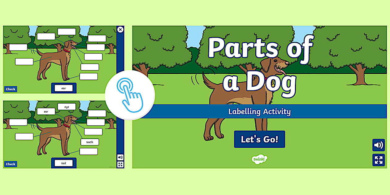Interactive Parts of a Dog Labelling Activity | Twinkl Go!
