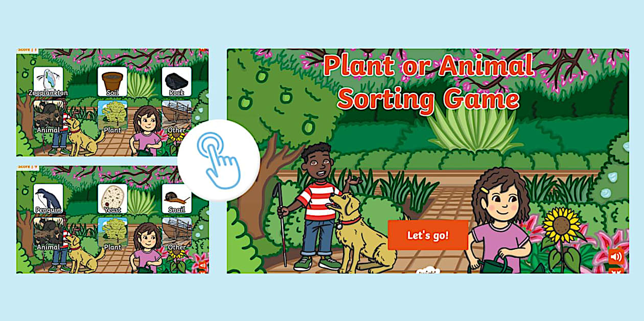 Plant or Animal Sorting Game (teacher made) - Twinkl