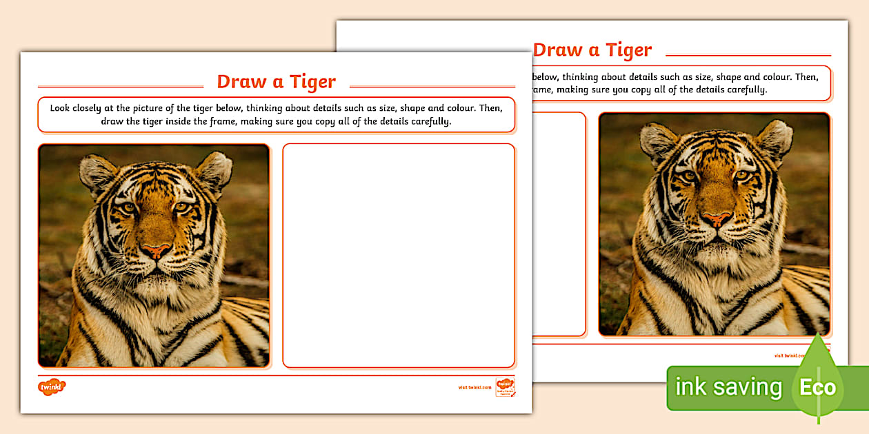 Draw a Tiger Art Activity | Art Resource (teacher made)