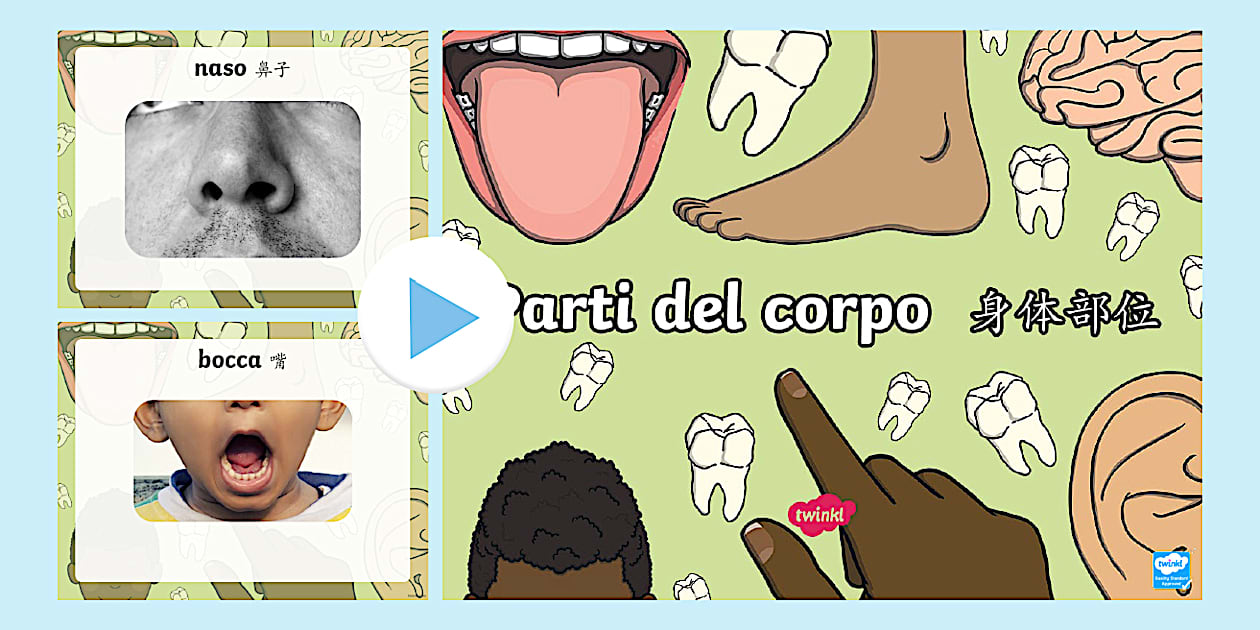 PowerPoint Parti del corpo Italiano/Cinese (Teacher-Made)