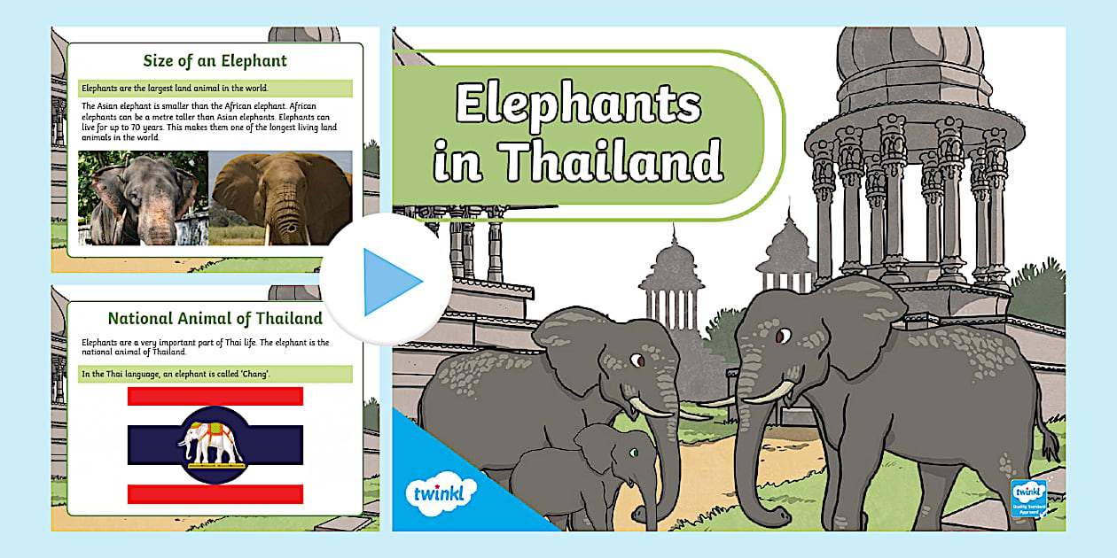 Thai Elephants PowerPoint - Twinkl