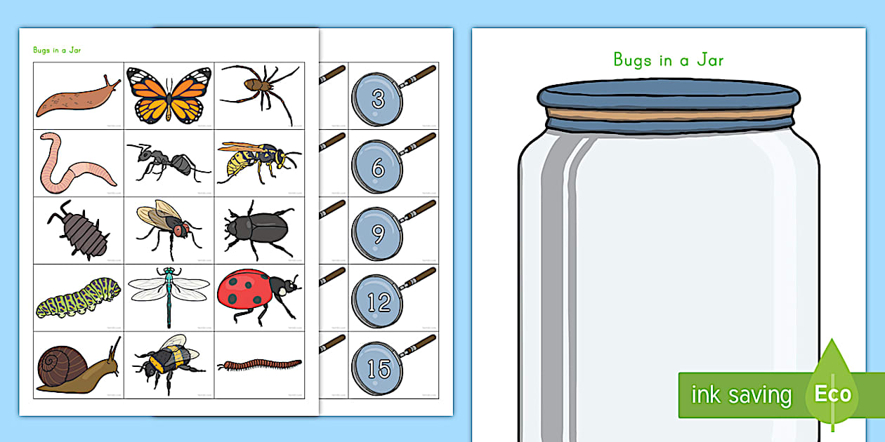 Bugs in a Jar Counting Worksheet (teacher made) - Twinkl