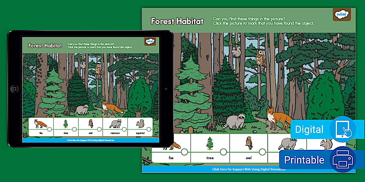 Forest Habitat Can You Find? Picture Worksheet - Twinkl