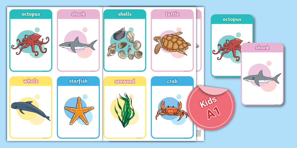 Twinkl ESL Under the Sea Flashcards (teacher made) - Twinkl