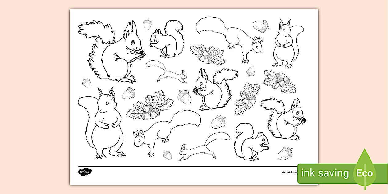 Squirrel Doodle Colouring Page (teacher made) - Twinkl