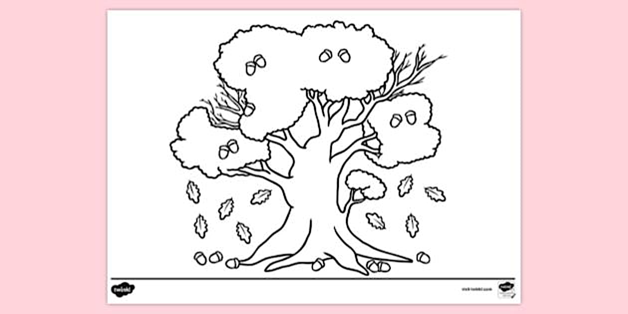 Tree Colouring Sheet | Colouring Sheets | Primary Resources