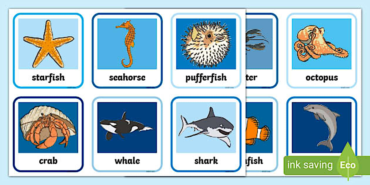 Ocean animals matching activity cards- easy to print.