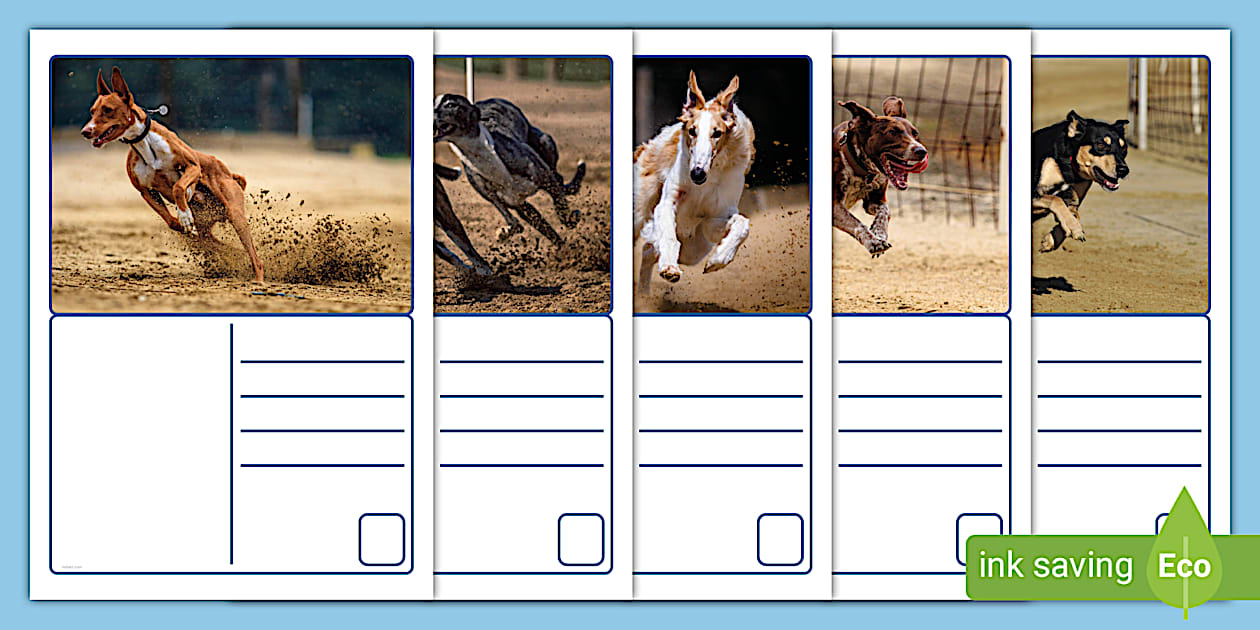 Dog Racing Postcards | Twinkl Postcards | Resources | Fun