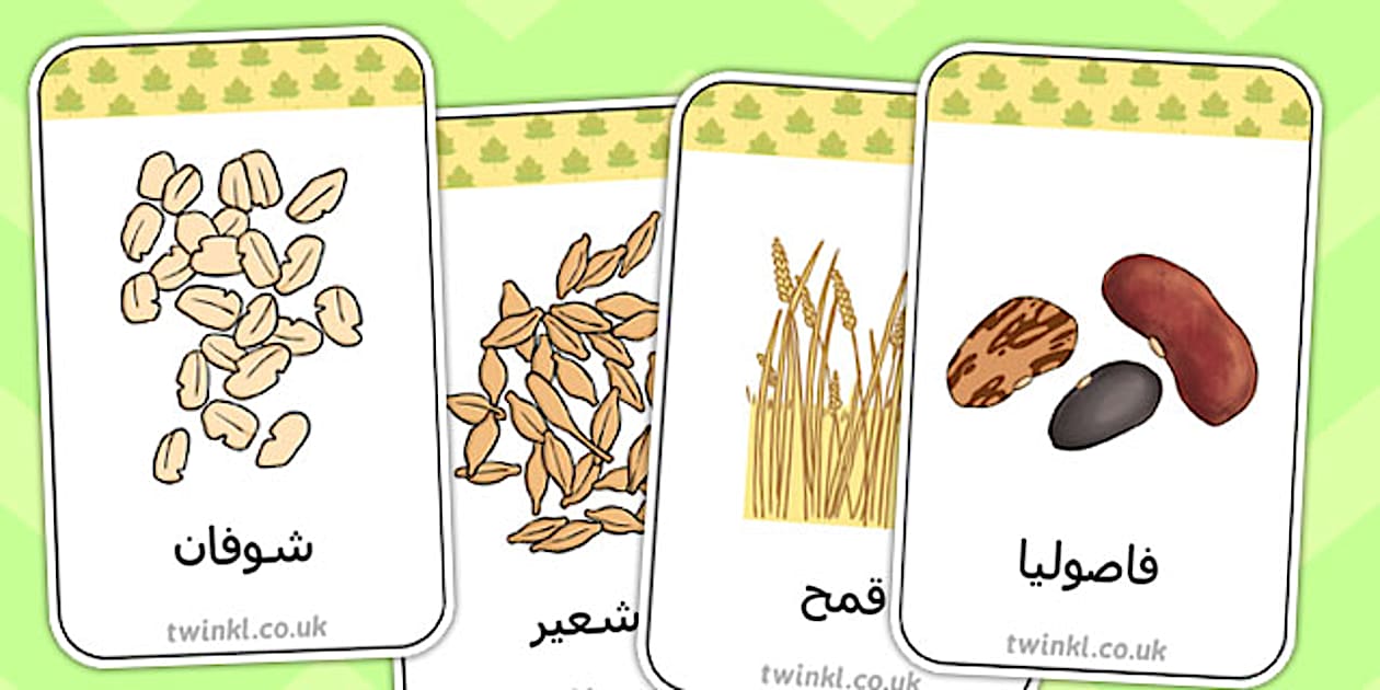 بطاقات فلاش عن الحصاد - الحصاد، المحصول