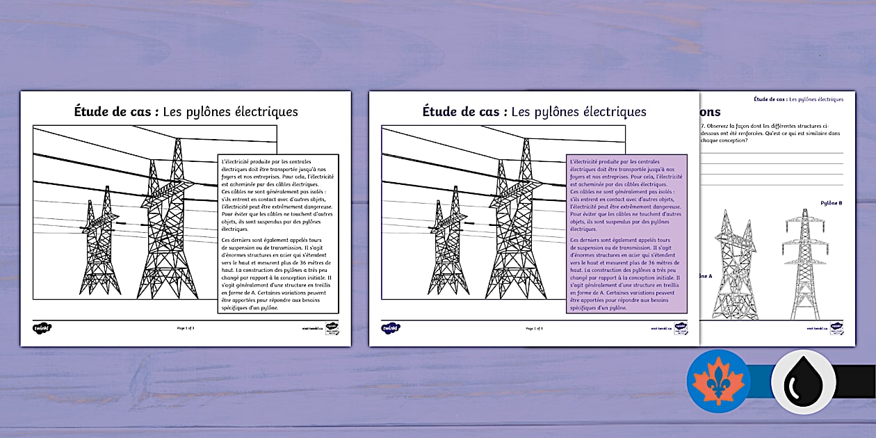 Electric Pylons Case Study French