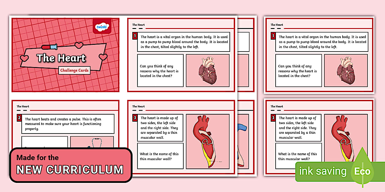 Heart Challenge Cards | The Heart | Twinkl (teacher made)