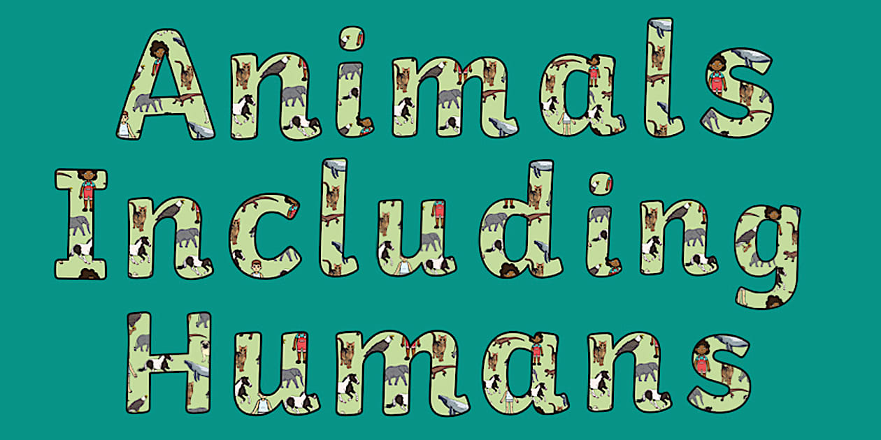 Animals Including Humans Display Lettering - Twinkl - KS1