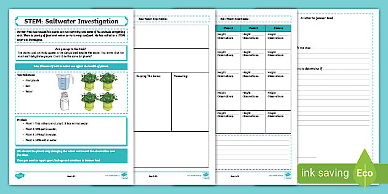 STEM: Saltwater Investigation (teacher made) - Twinkl