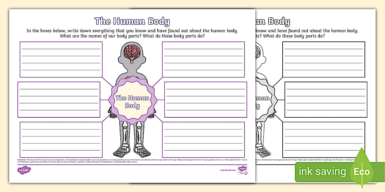 Human Body Mind Map (teacher made) - Twinkl