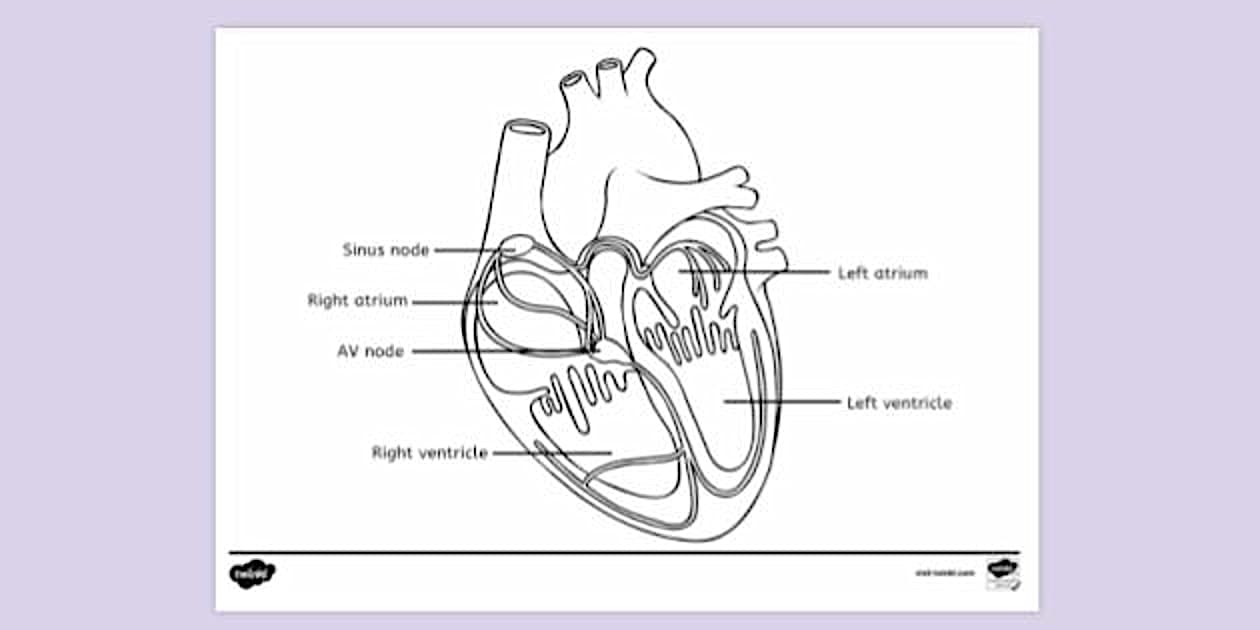 Medical Colouring Page | Colouring Sheets (teacher made)