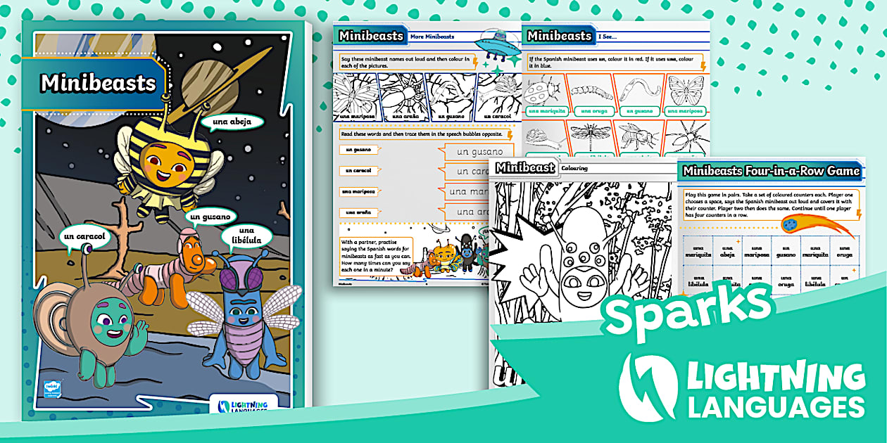 👉 Spanish I Sparks I Minibeasts Activity Booklet - Twinkl