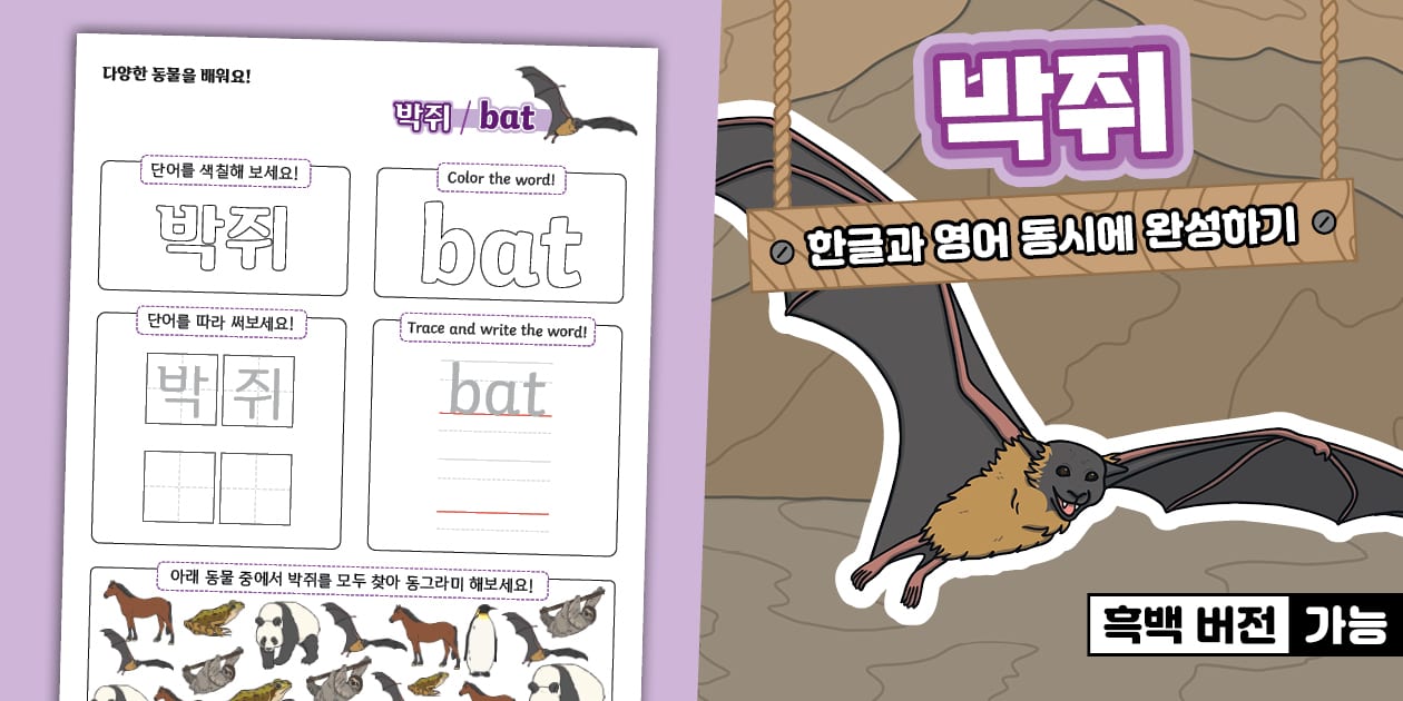 한글과 영어 동시에 완성하기 | 동물 | 박쥐 | Animal Bat Tracing Activity (Korean & English)