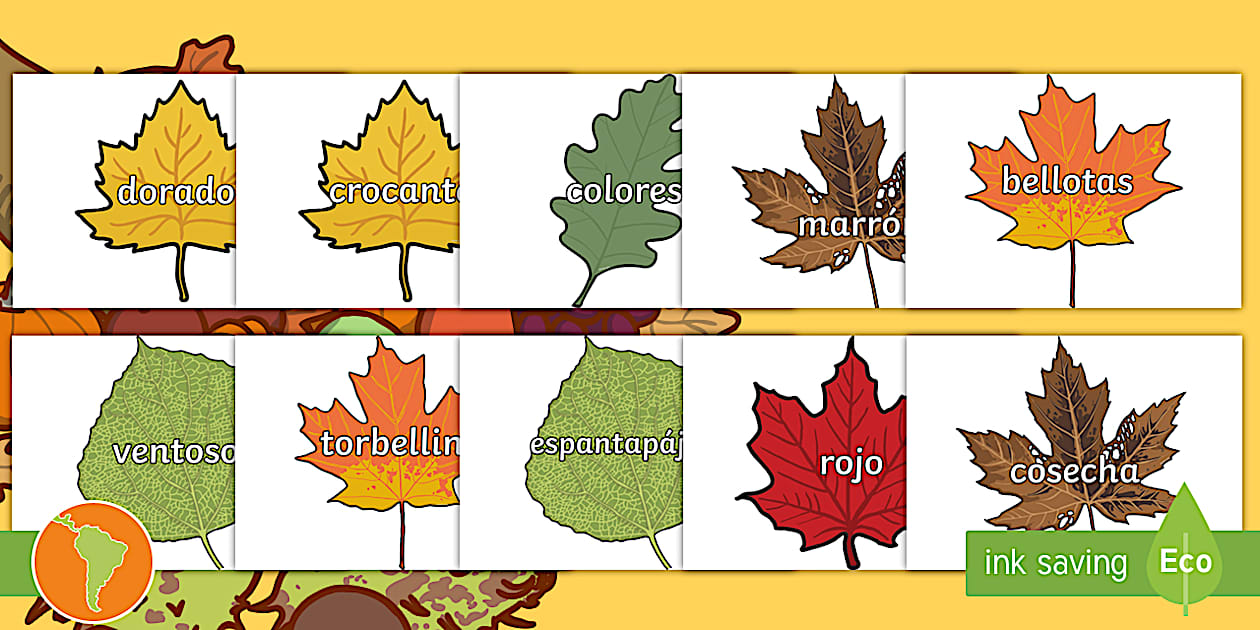 Pósters: Vocabulario de otoño en hojas - Twinkl