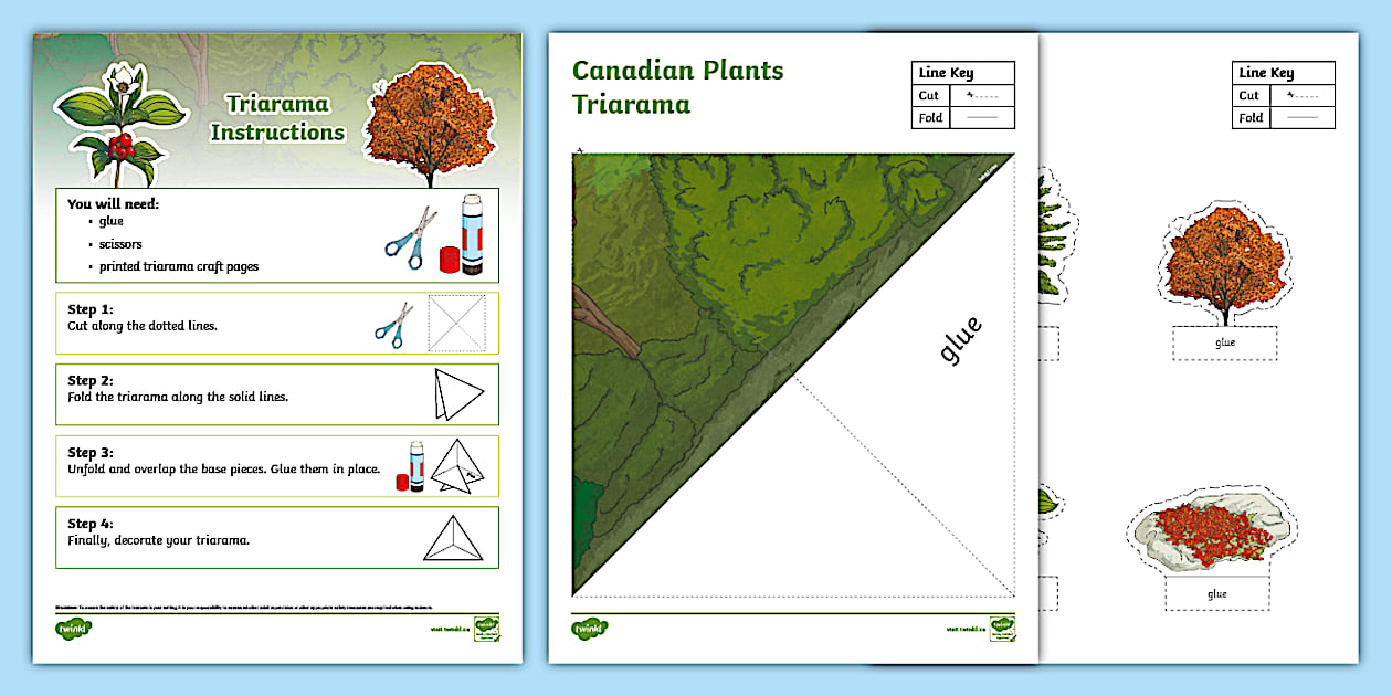 Canadian Plants Triarama Craft (teacher made) - Twinkl
