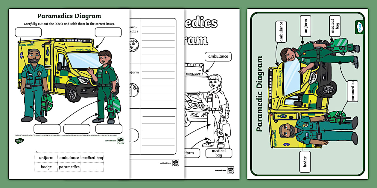 Label the Paramedic Diagram Activity Pack (teacher made)