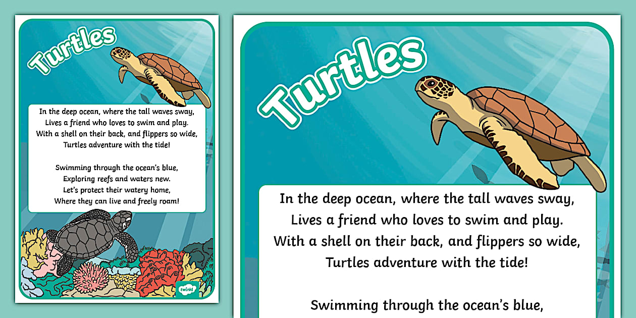 Turtle Poem Example (teacher made) - Twinkl