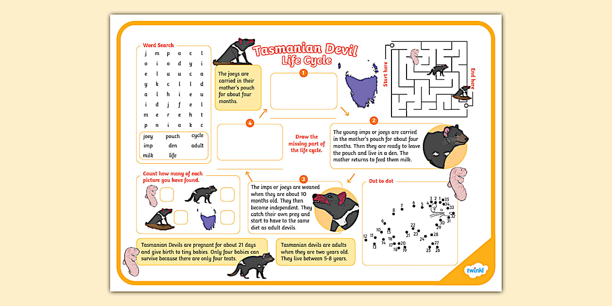 Tasmanian Devil Activity Mat (teacher made) - Twinkl