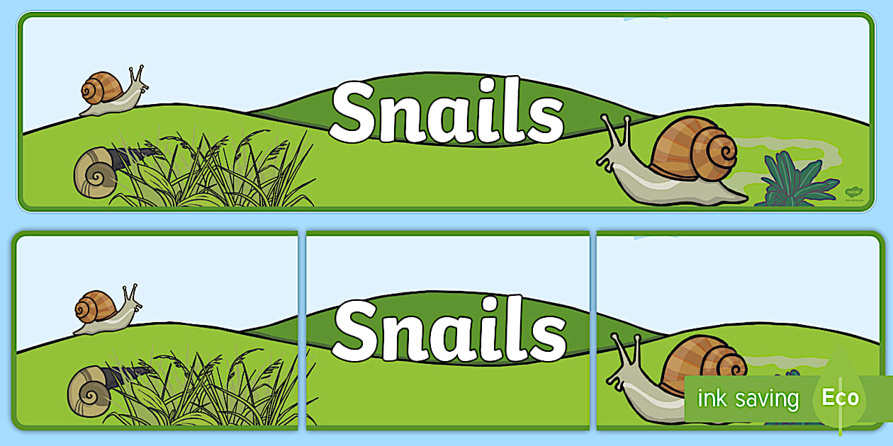 Snails Banner - , shell, snailery, mollusc, living things,Irish