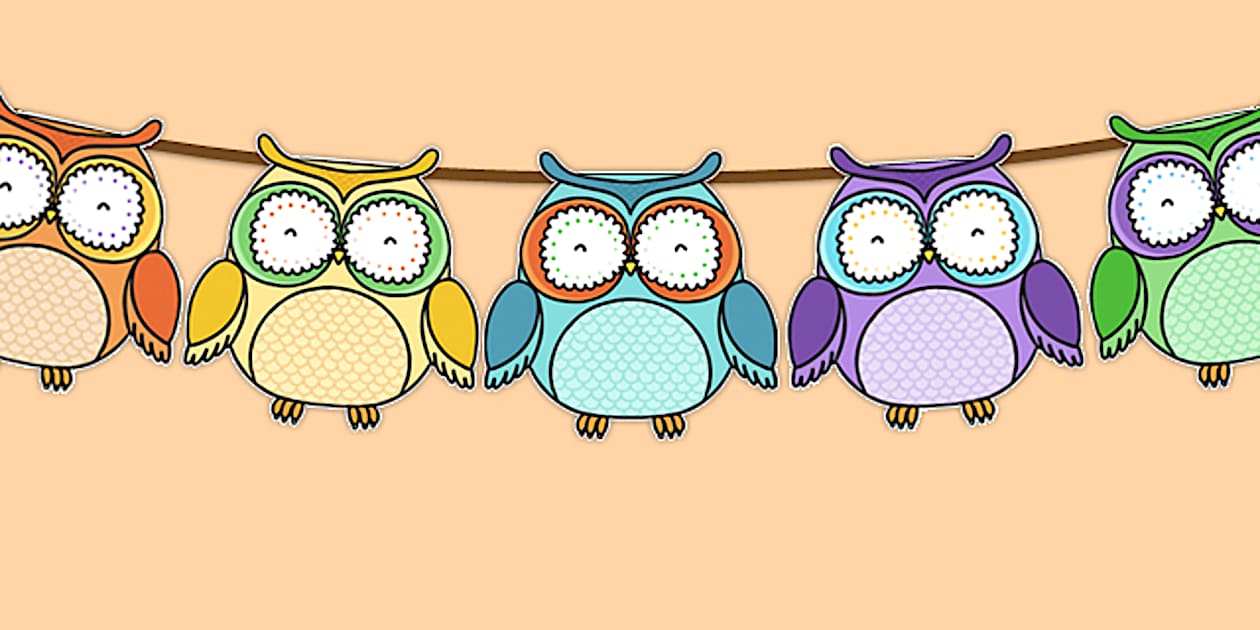 Black and White Cute Owl Themed Bunting (teacher made)